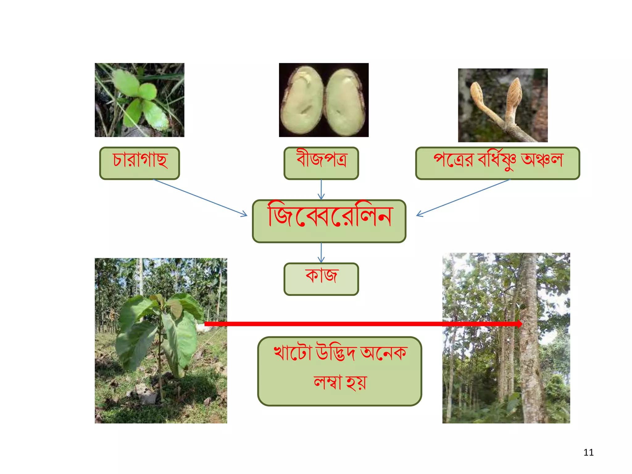 Class 8 science chapter 5 lesson 1 | PPT