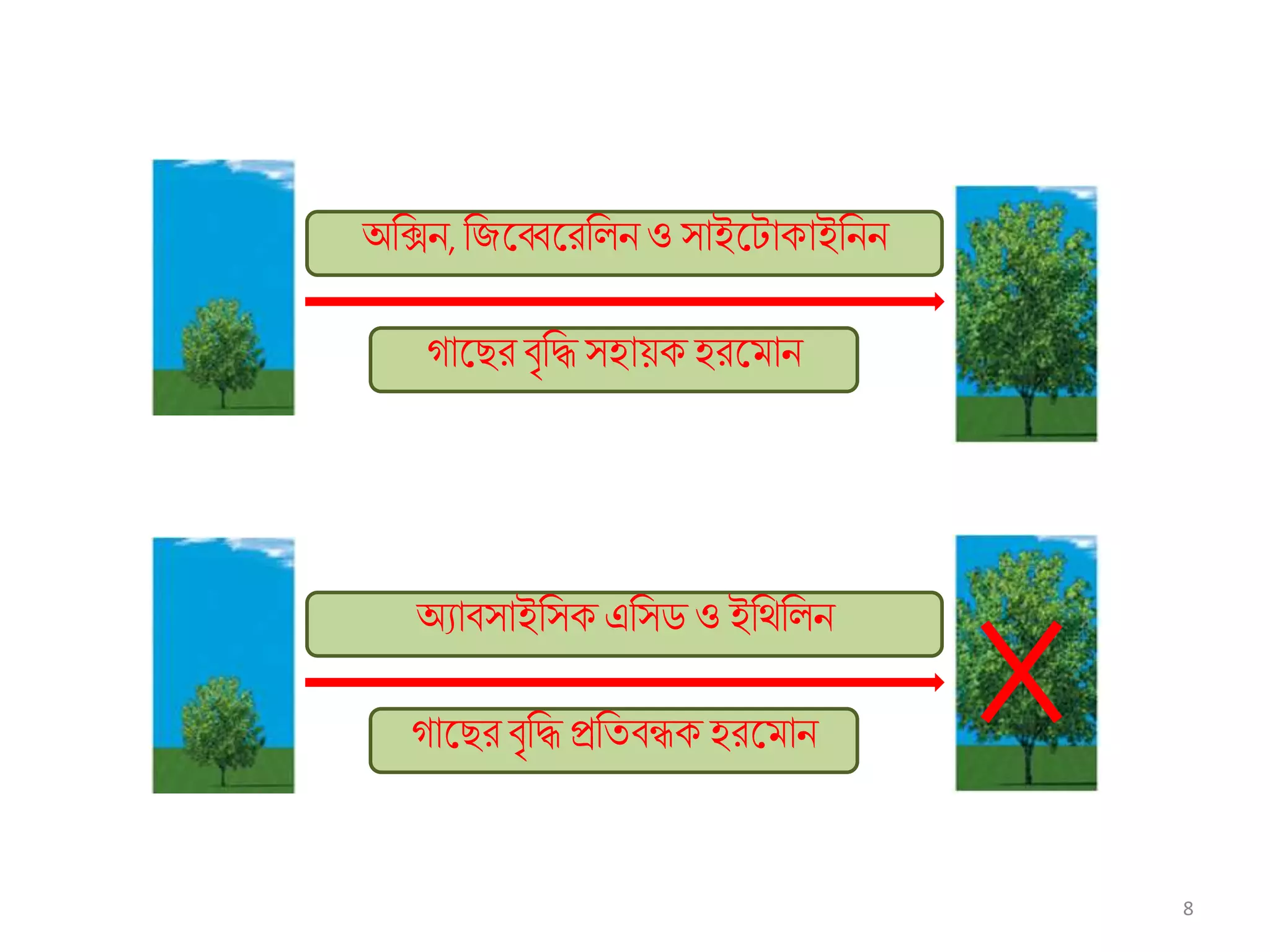 Class 8 science chapter 5 lesson 1 | PPT