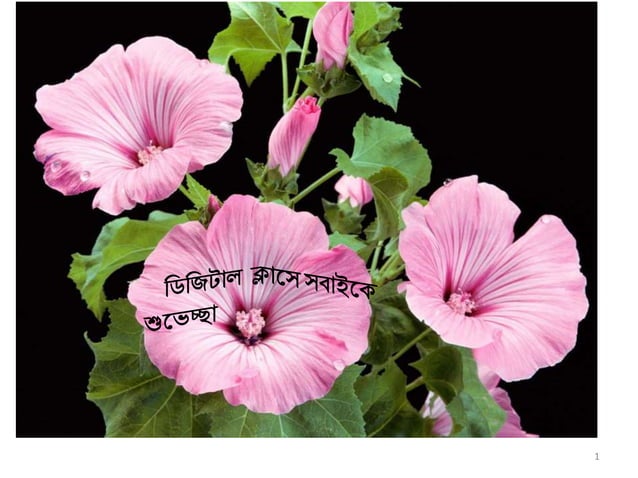 Class 8 science chapter 5 lesson 1 | PPTX