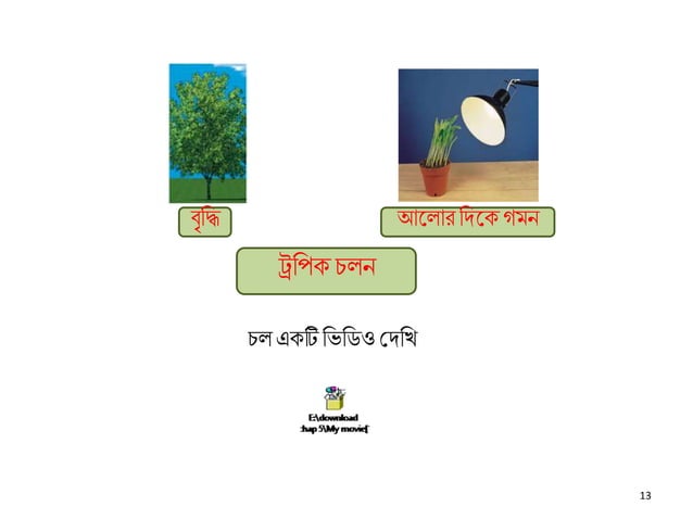 Class 8 science chapter 5 lesson 1 | PPTX