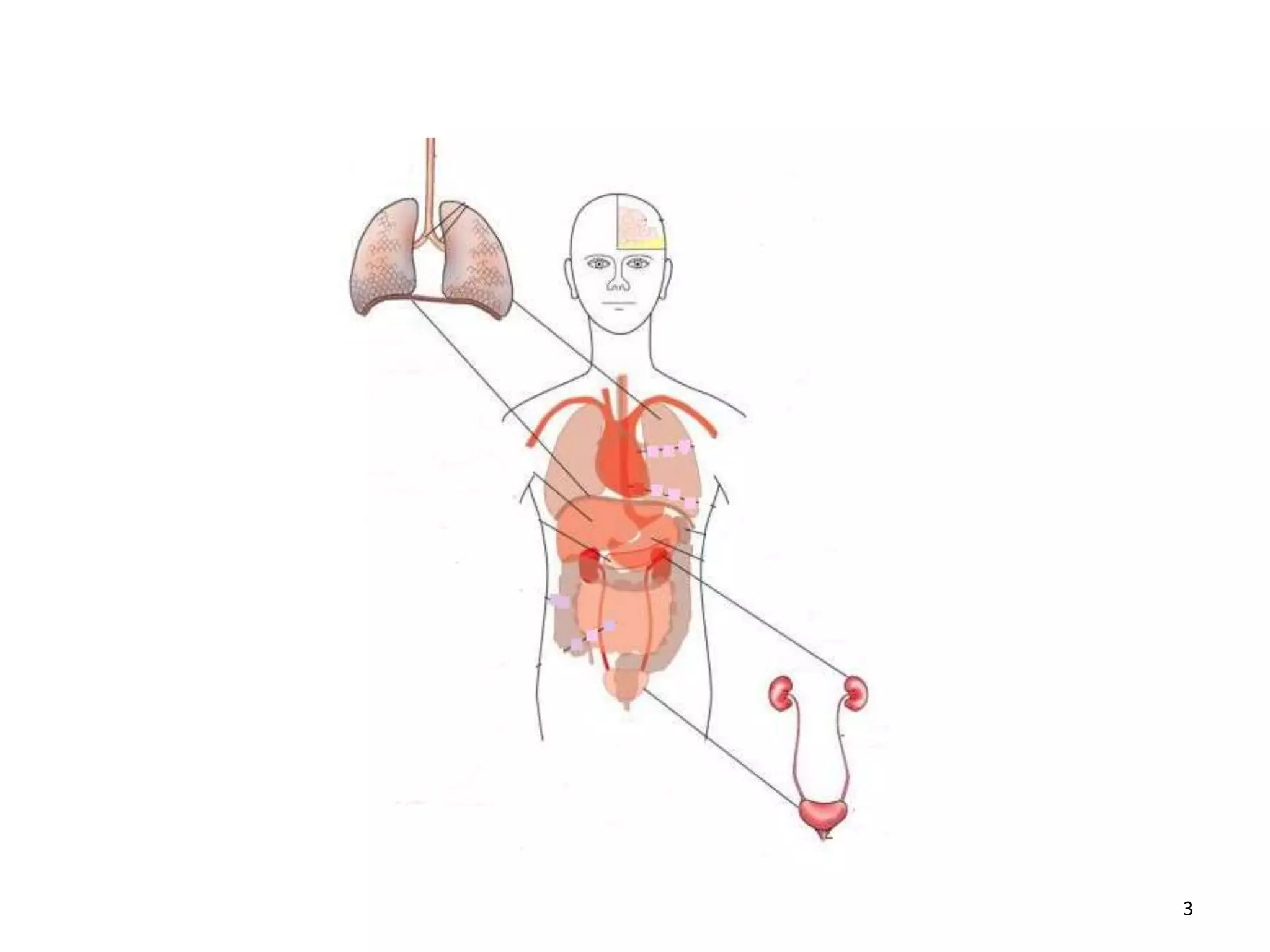 Class 8 science chapter 5 lesson 5 | PPTX