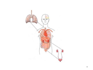 Class 8 science chapter 5 lesson 5 | PPT