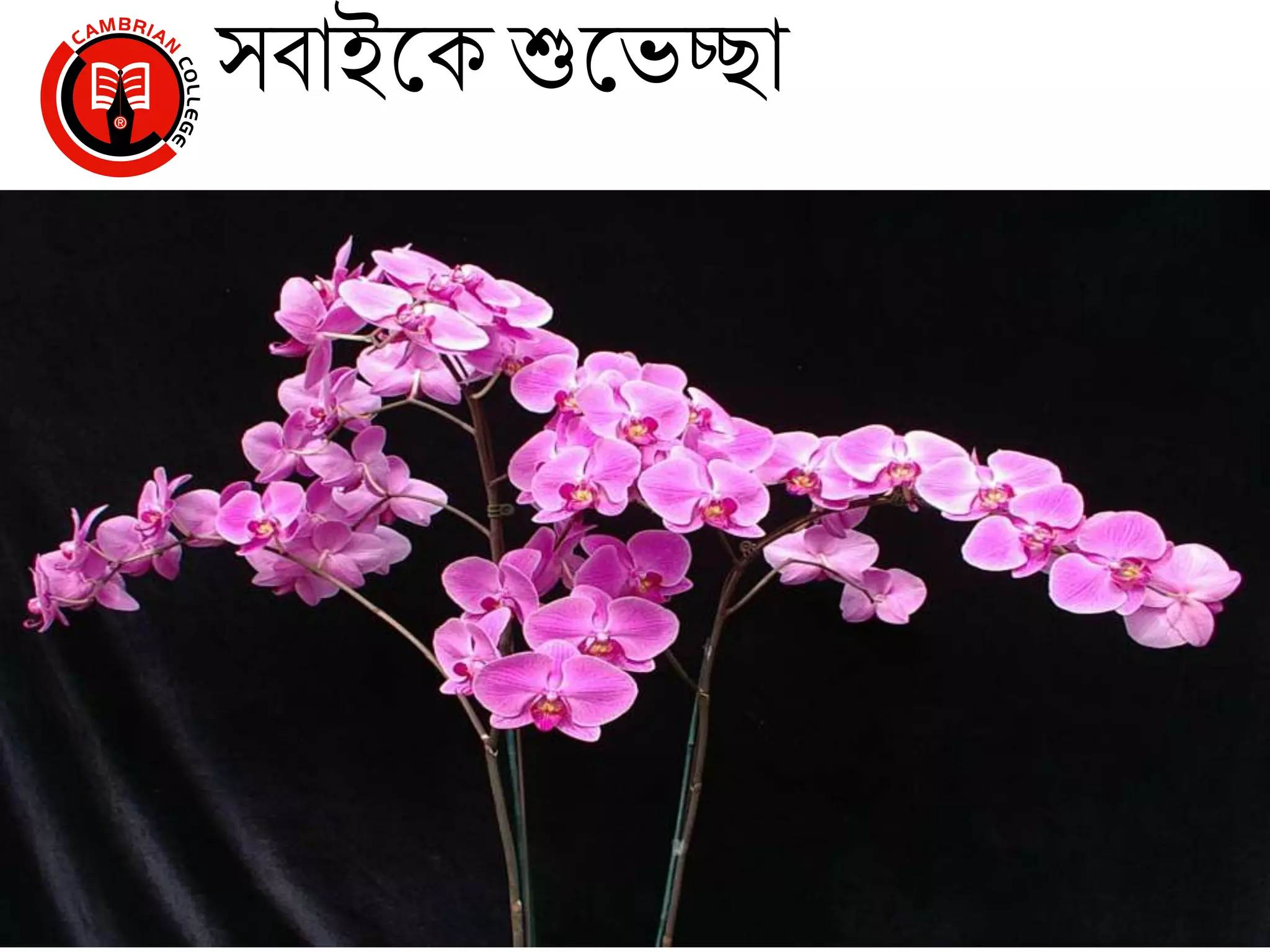 Class 8 science chapter 8 lesson 1 | PPTX