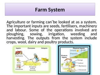 CBSE Class Eight Social Science Agriculture.ppt
