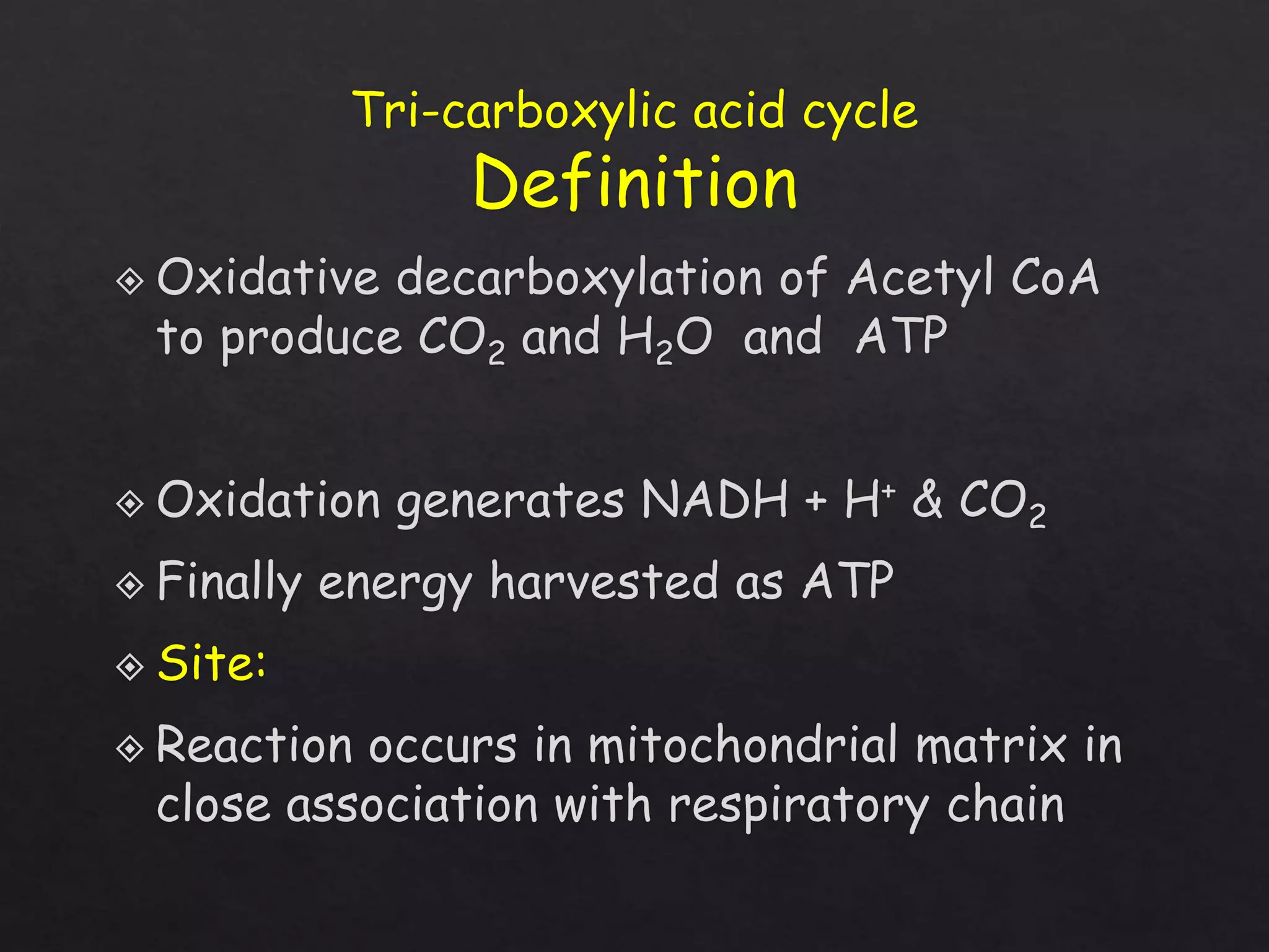 Class 8 TCA cycle | PPTX