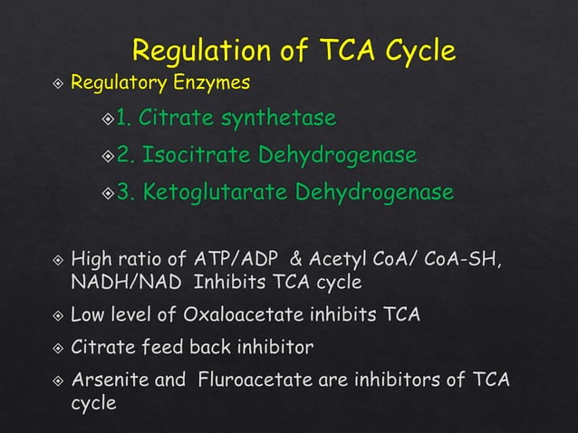 Class 8 TCA cycle | PPT