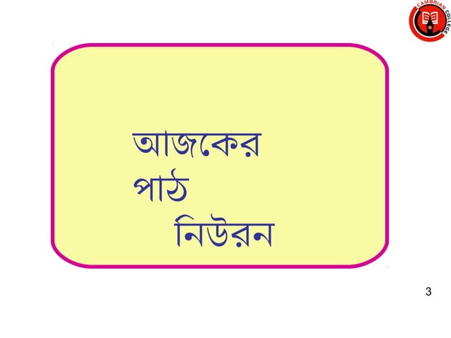 Class 9 10 biology lesson 10 class-5 (neuron) | PPT