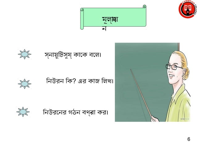 Class 9 10 biology lesson 10 class-5 (neuron) | PPT