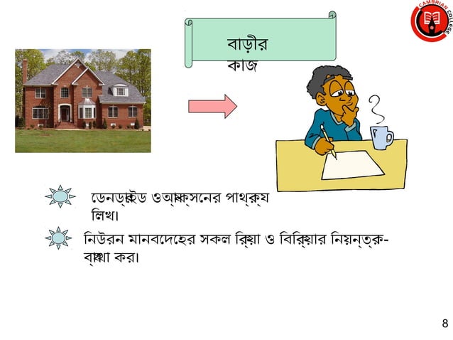 Class 9 10 biology lesson 10 class-5 (neuron) | PPT
