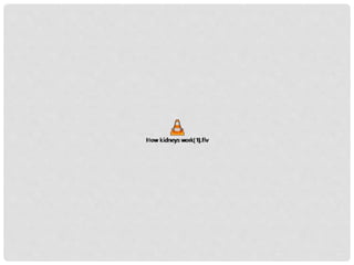 Class 9 & 10 biology lesson 8 kidny | PPT