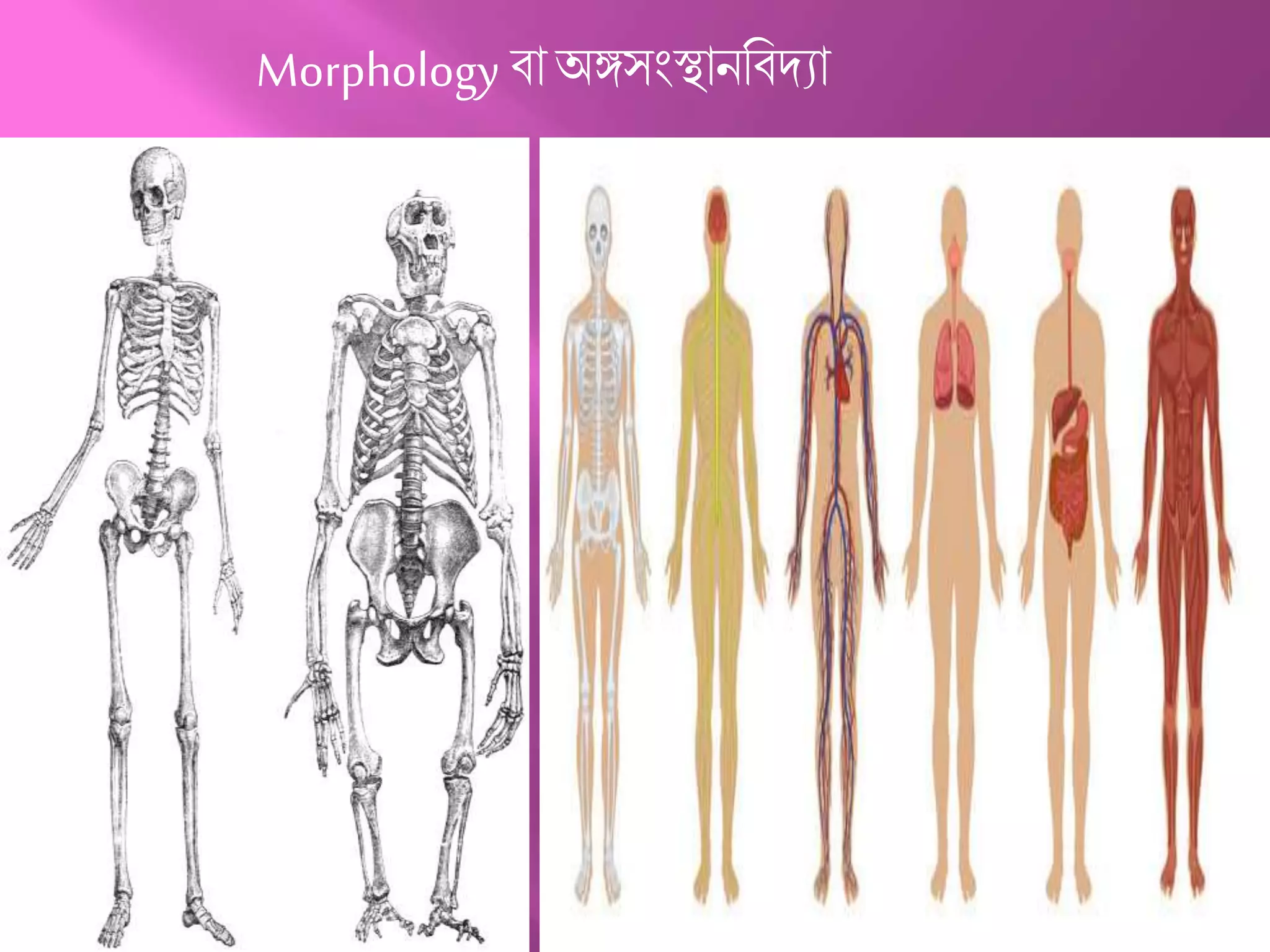 Class 9 & 10 lesson 1 class no 1 (physical biology) | PPT