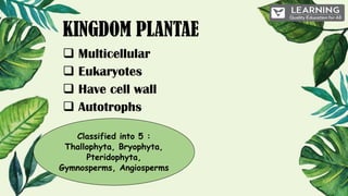 Class 9 bio ch 3 diversity in living organisms part 4 | PPT