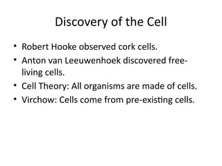 Class9_Cell_Chapter_Presentation (1).pptx
