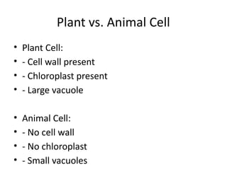 Class9_Cell_Chapter_Presentation (1).pptx