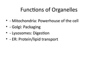 Class9_Cell_Chapter_Presentation (1).pptx