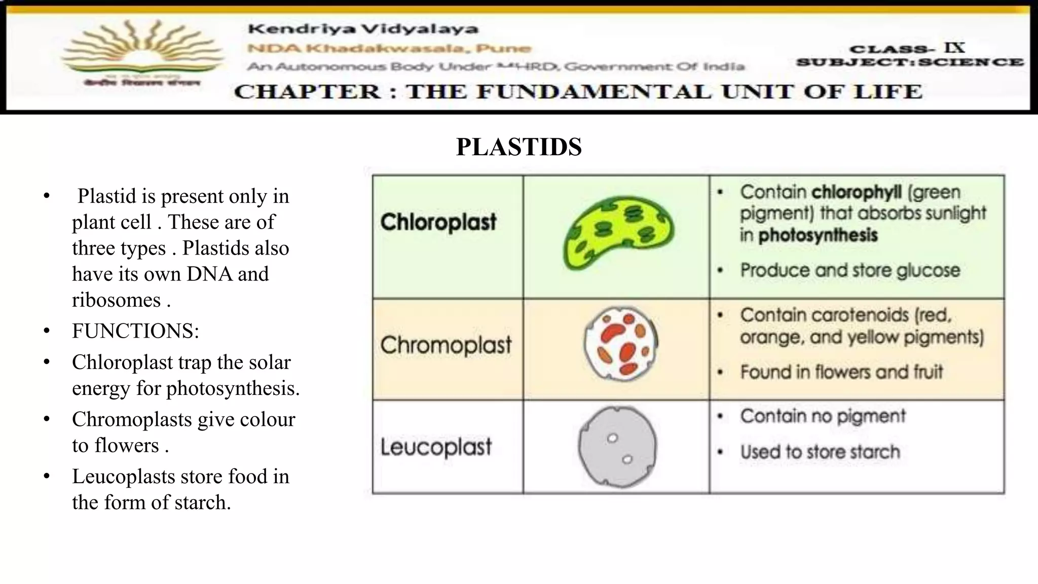 Class 9 cell ppt 4 | PPTX