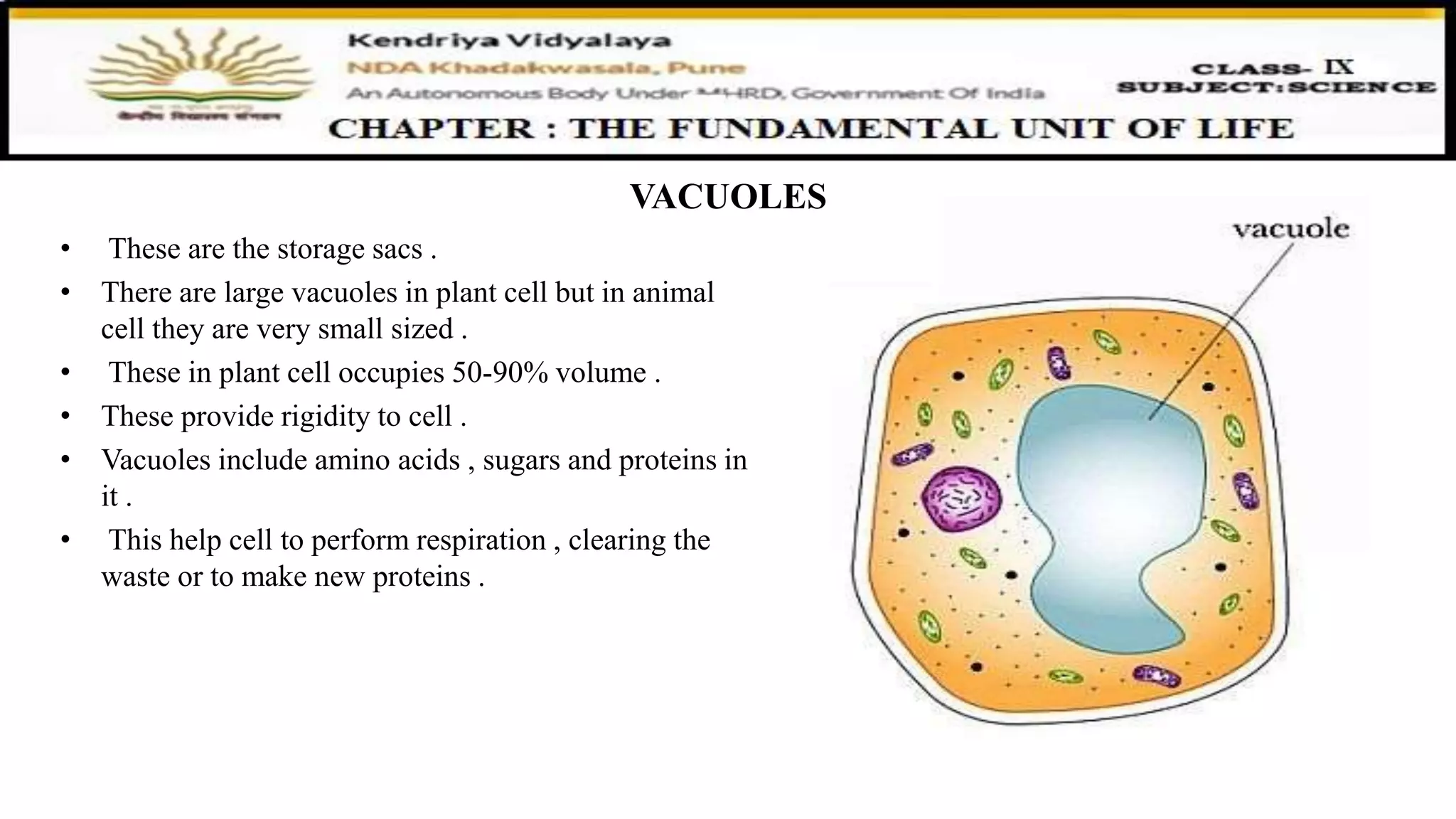 Class 9 cell ppt 4 | PPTX