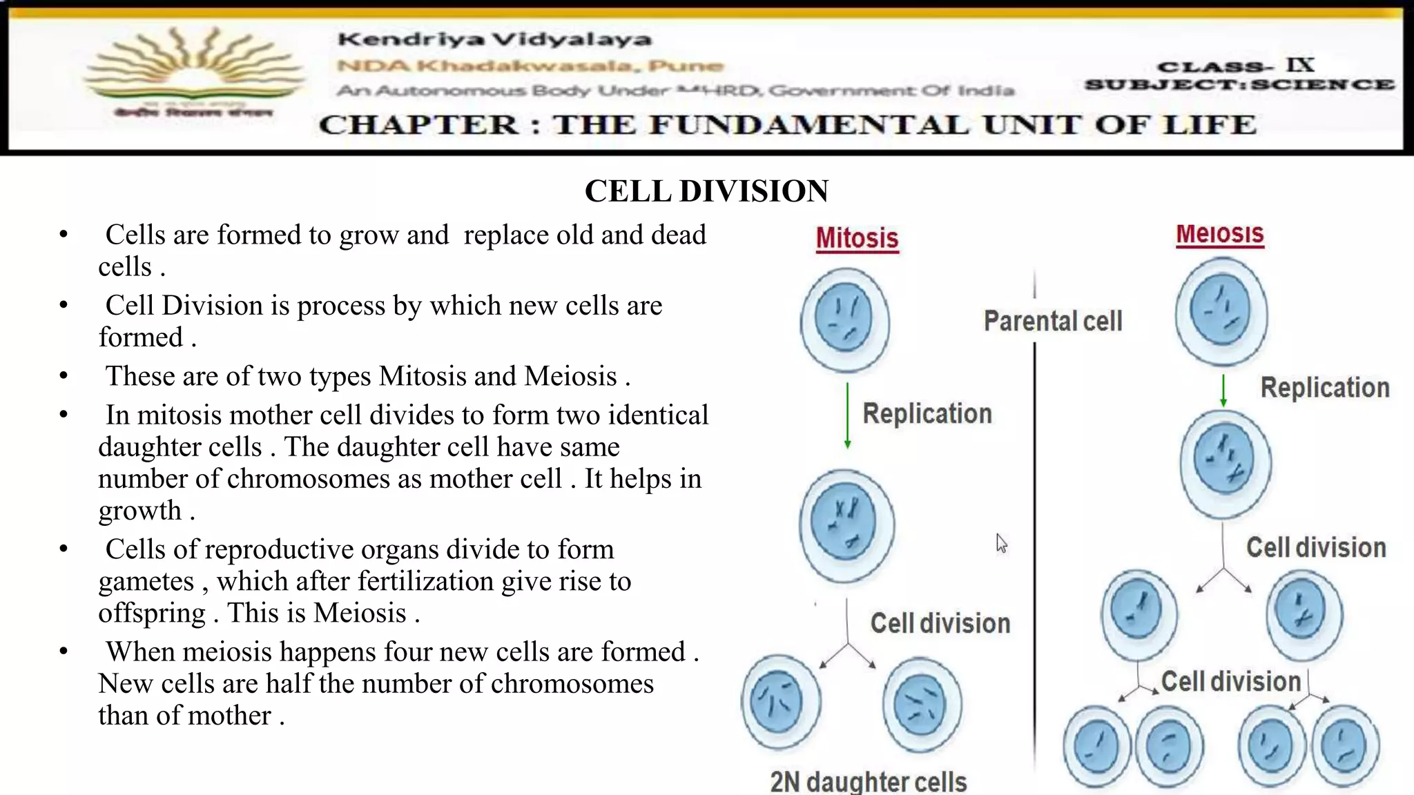 Class 9 cell ppt 4 | PPTX