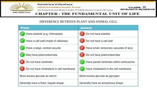 Class 9 cell ppt 4 | PPTX