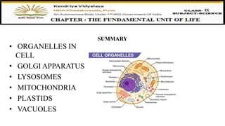 Class 9 cell ppt 4 | PPTX