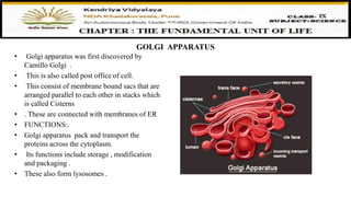 Class 9 cell ppt 4 | PPTX