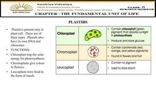 Class 9 cell ppt 4 | PPTX