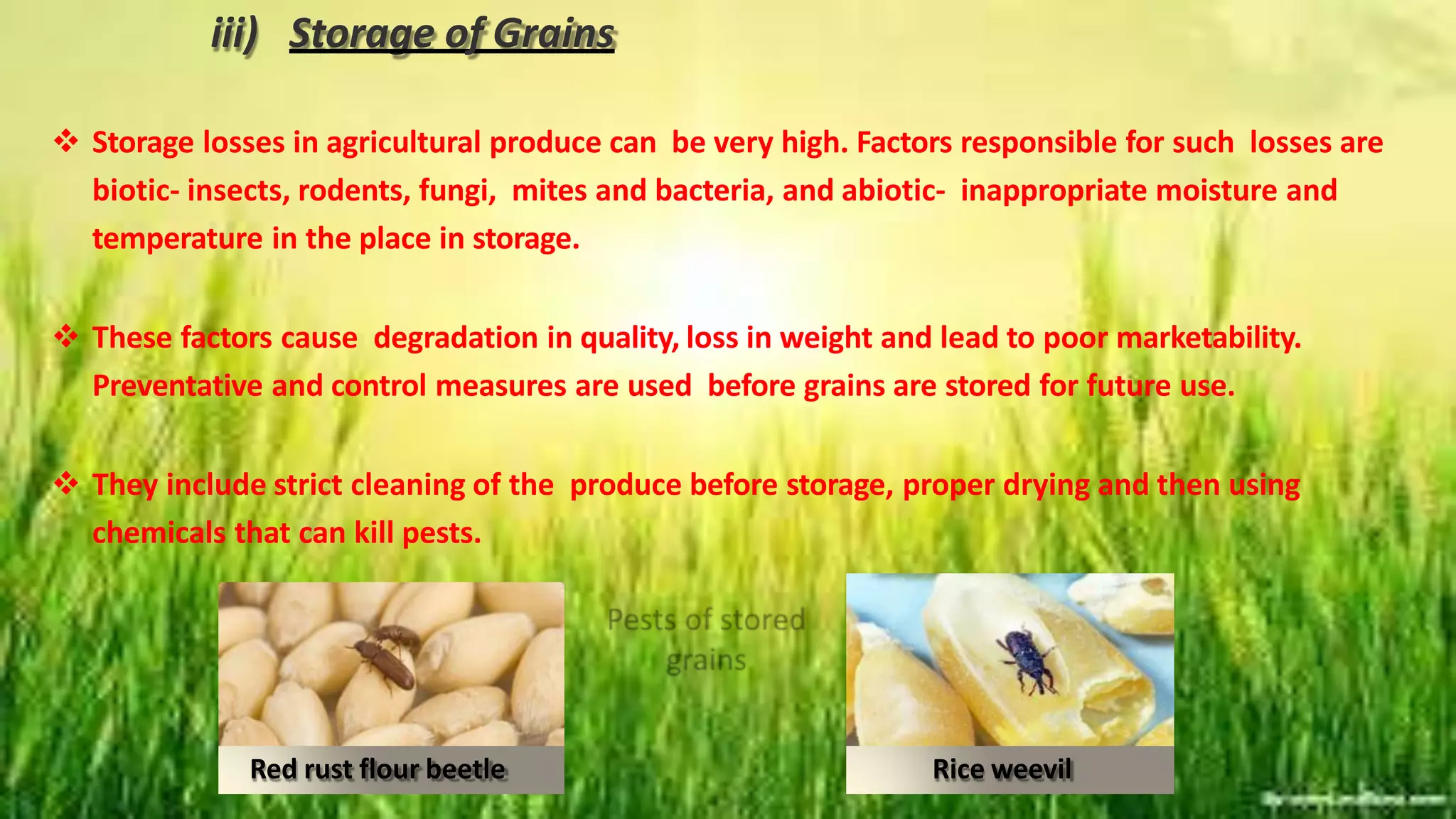 Improvement in food resources | PPTX