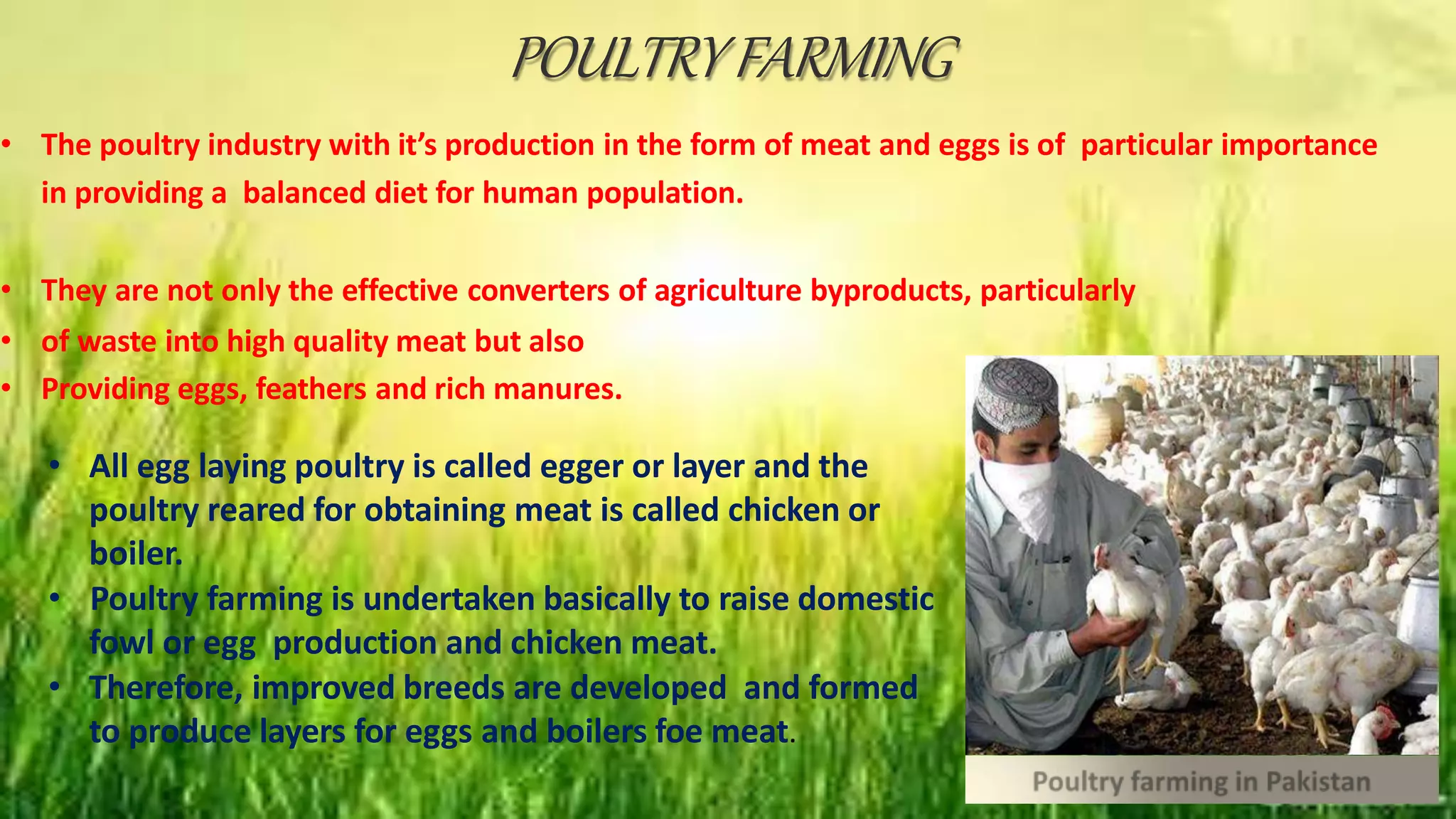 Improvement in food resources | PPTX