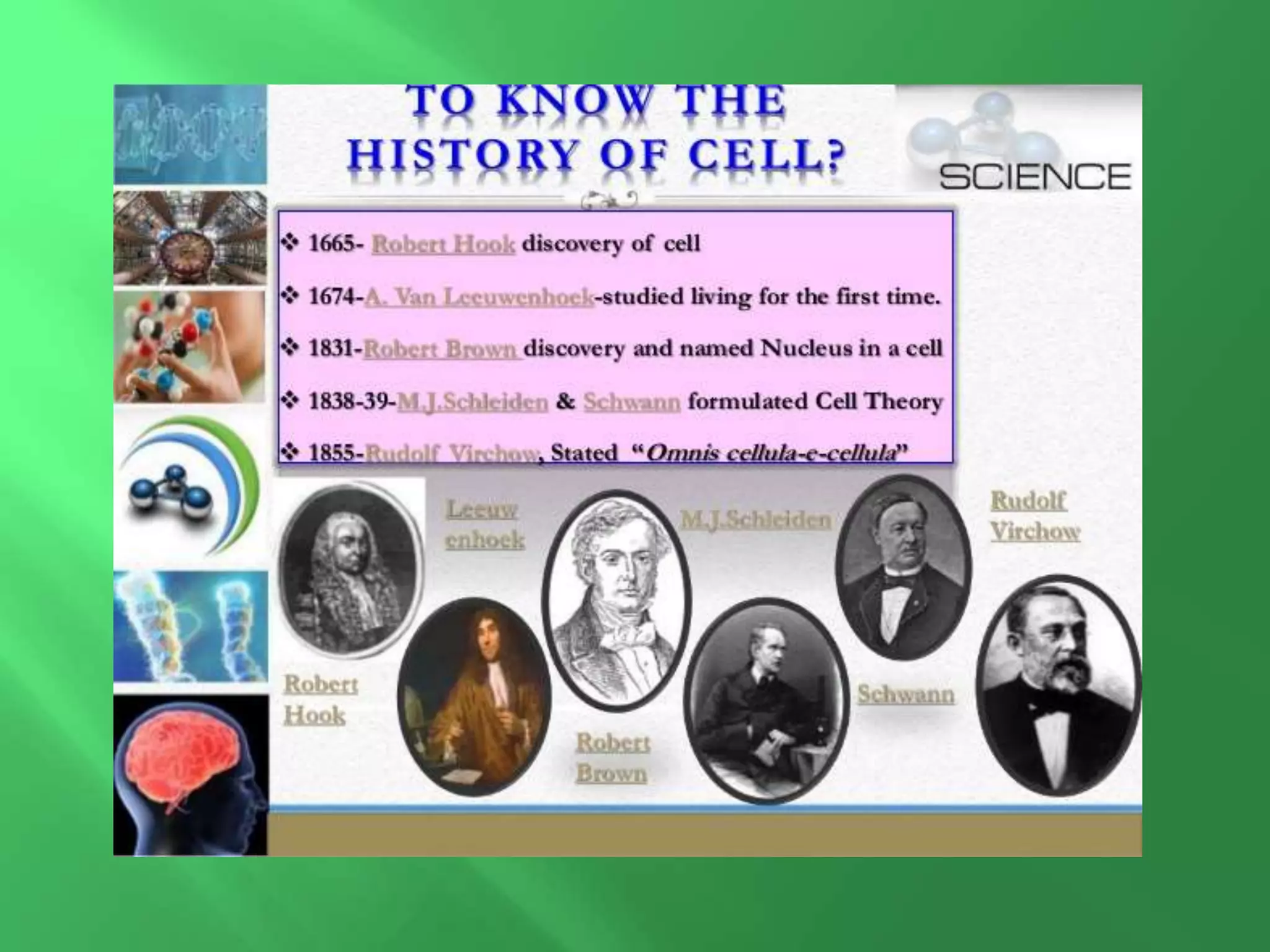 Science, fact file- class 9 | PPTX