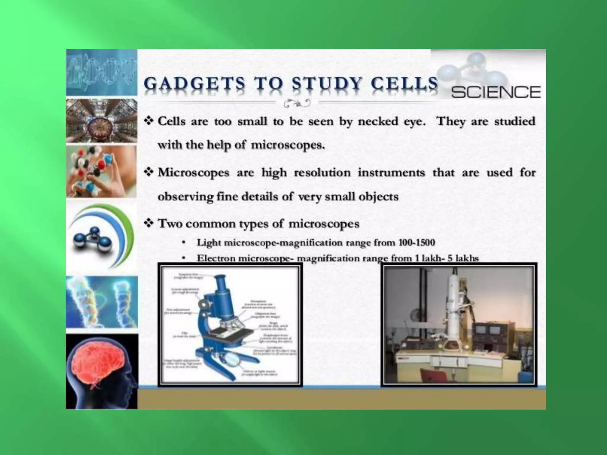Science, fact file- class 9 | PPTX