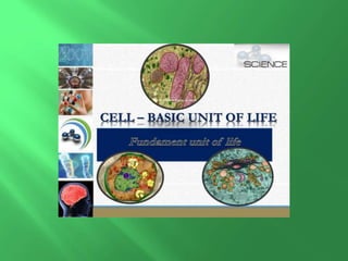 Science, fact file- class 9 | PPTX