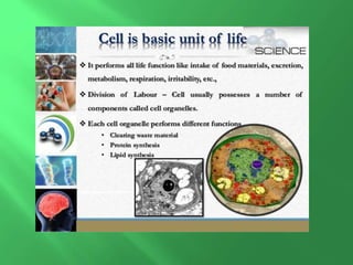 Science, fact file- class 9 | PPTX