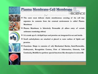 Science, fact file- class 9 | PPTX