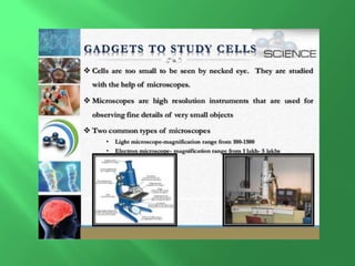 Science, fact file- class 9 | PPTX