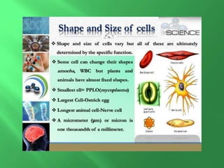 Science, fact file- class 9 | PPTX