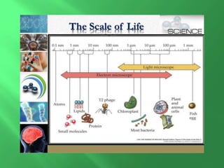 Science, fact file- class 9 | PPTX