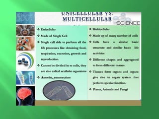 Science, fact file- class 9 | PPTX