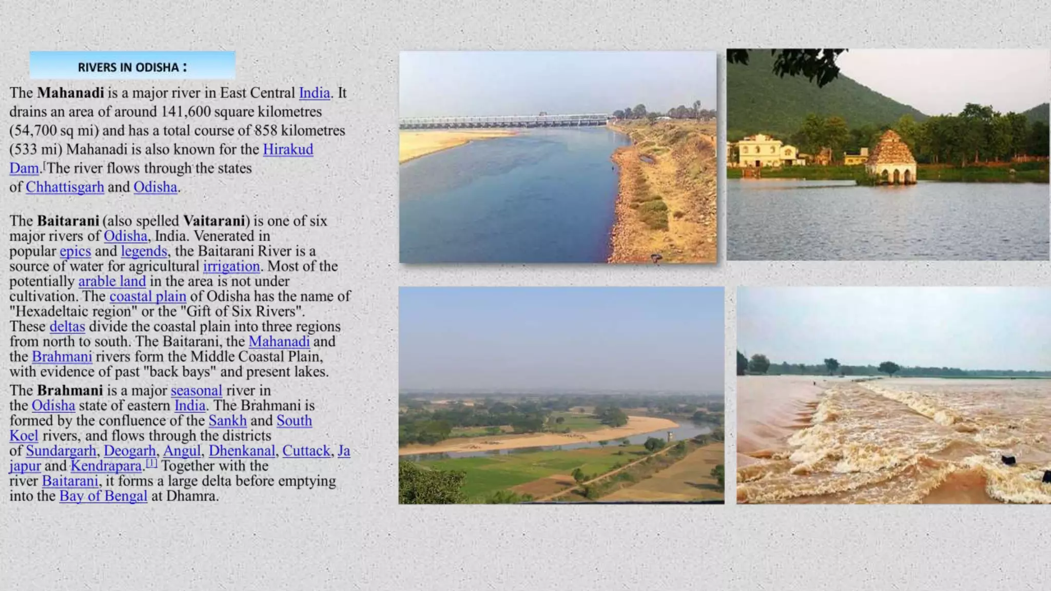 CLASS 9 ENGLISH PROJECT.pptx