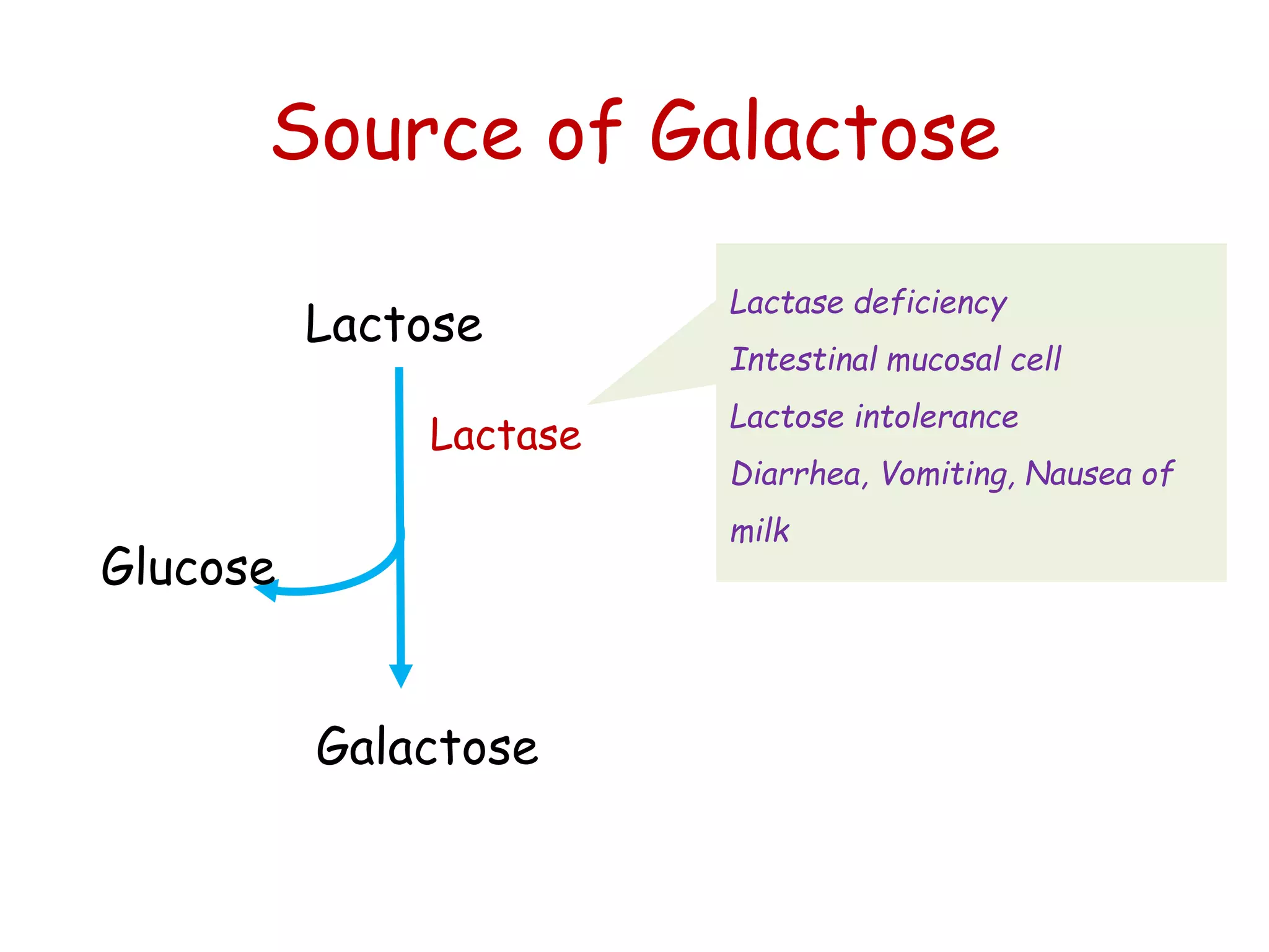 Class 9 galactose metabolism | PPTX