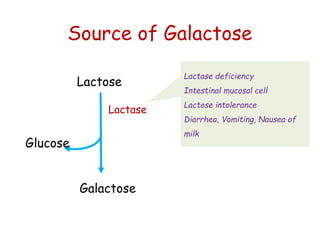 Class 9 galactose metabolism | PPT