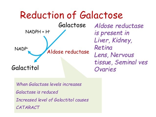 Class 9 galactose metabolism