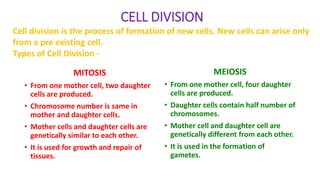 class 9 lecture 6.pptx on study on the cell | PPT
