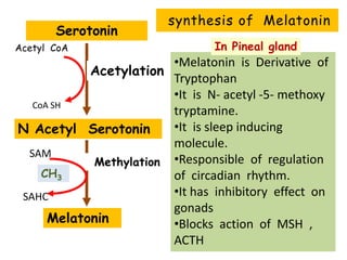 Metabolism of tryptophan | PPTX