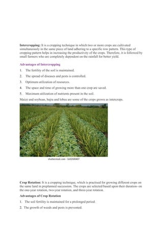 Class 9 notes of l 15 (plants) | PDF | Agriculture | Industries