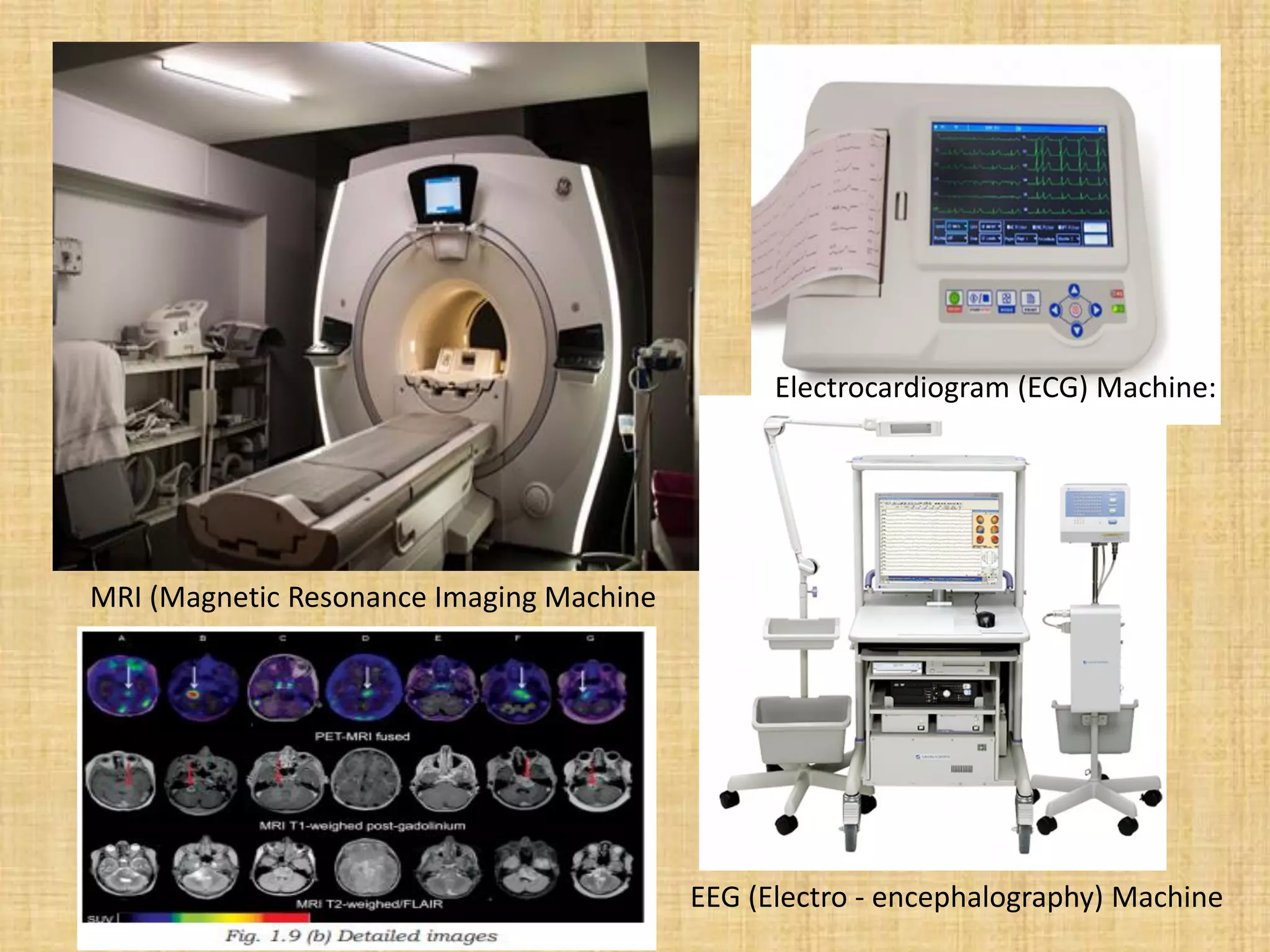 Class 9 part b unit 1 it&ites ppt | PDF