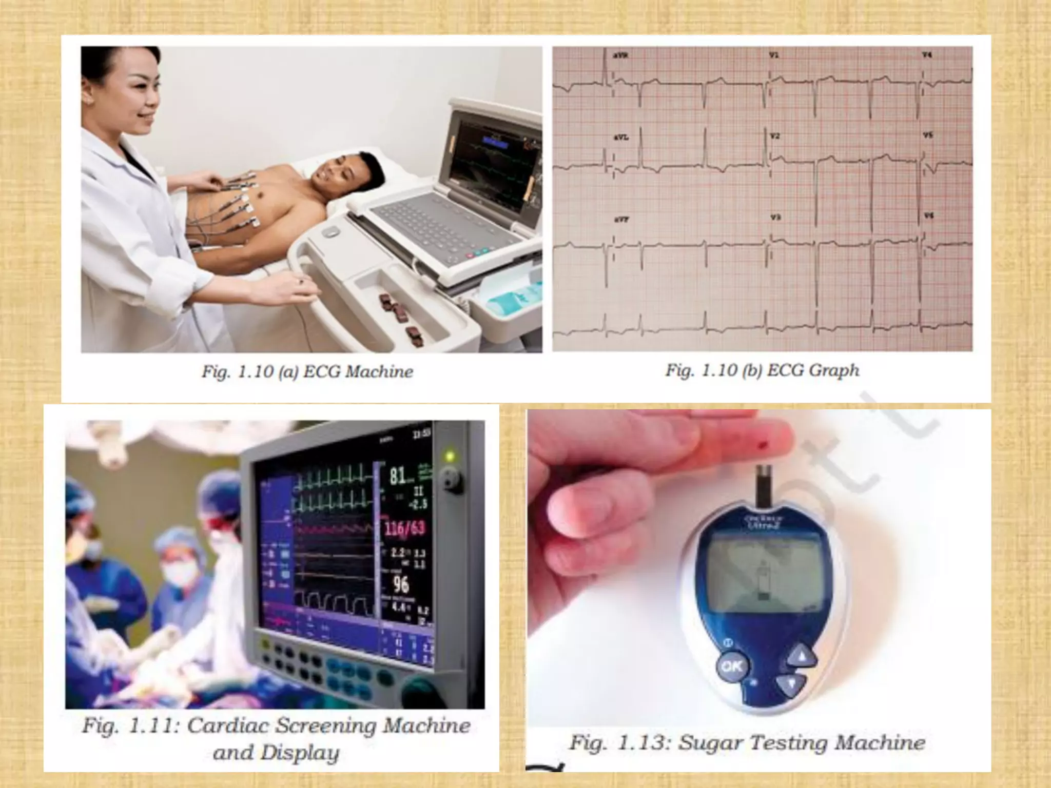 Class 9 part b unit 1 it&ites ppt | PDF