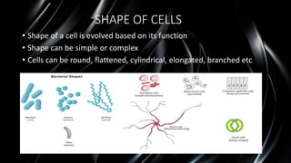 Class 9 Science Bio CH 1 Session 1 | PDF