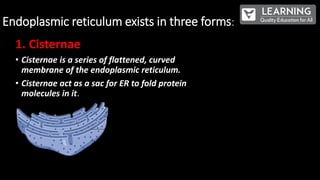 Class 9 Science Bio CH 1 Session 3 | PPT