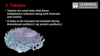Class 9 Science Bio CH 1 Session 3 | PPT
