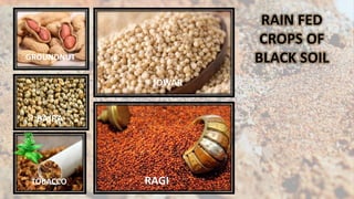 Class 9 social soils of karnataka_05_10_21 | PDF